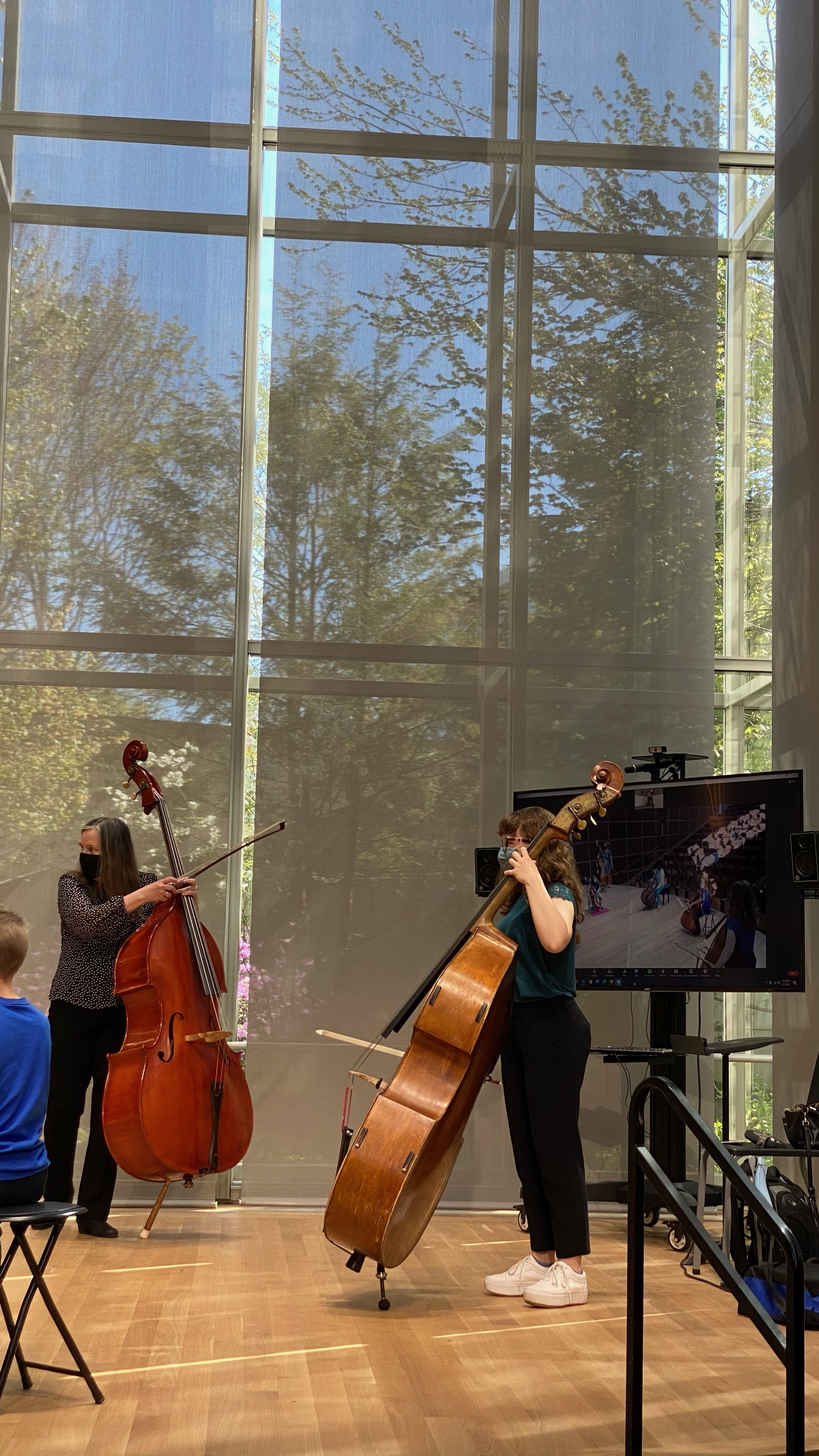 Double Bass Lessons – TinyBassist